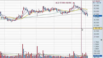 SKC코오롱PI(178920), 실적 기대치의 하락 주가 영향은?