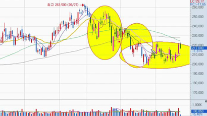 김신 전문가의 투데이 핫차트_삼성SDI(006400)